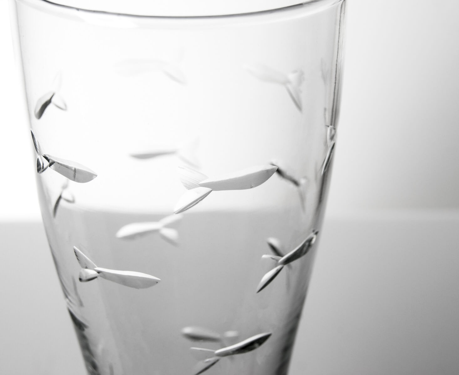 School of Fish 16oz Beer Pilsner Glass | Set of 4 – Rolf Glass